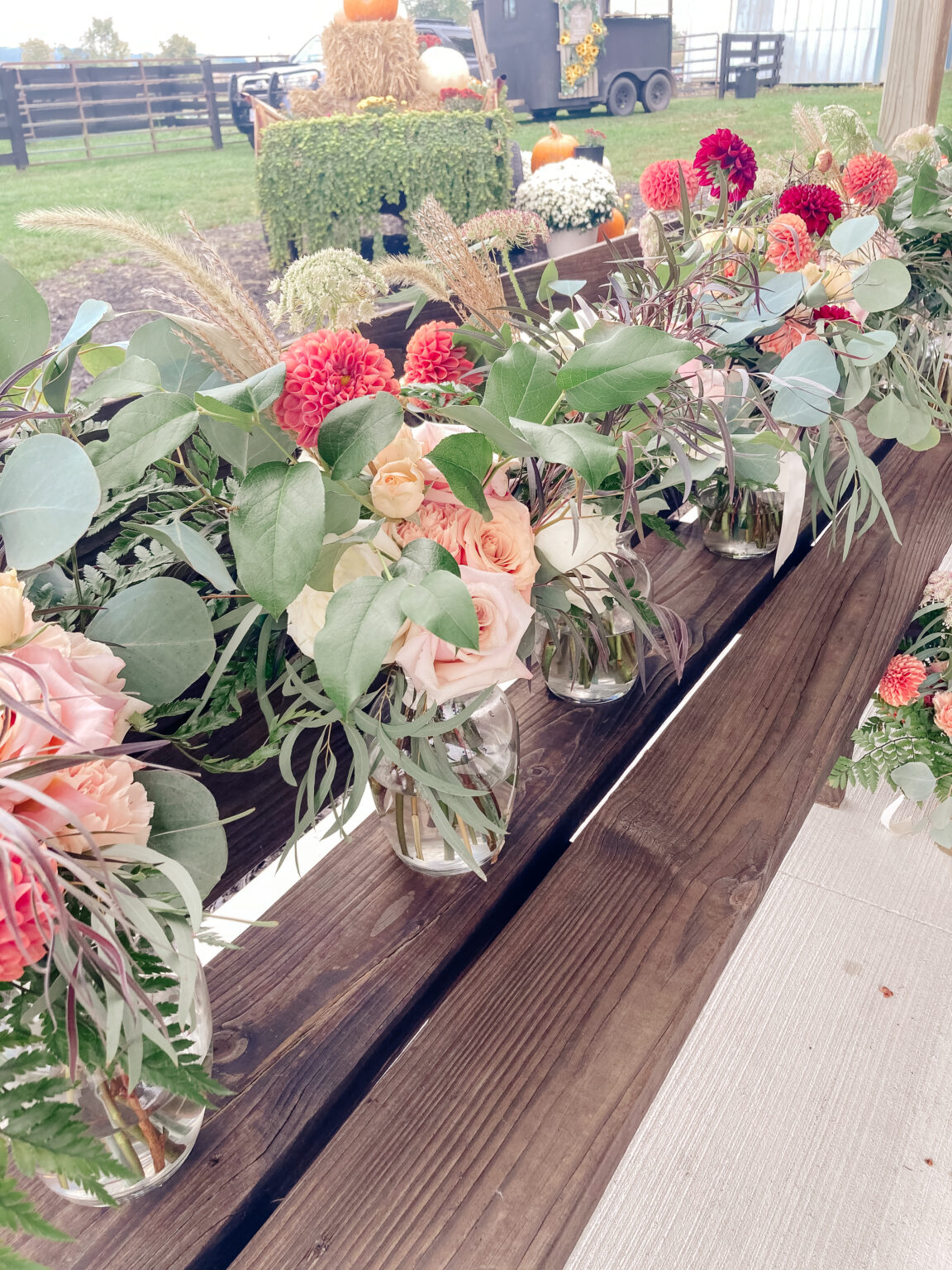 A Decade in the Making: A Story of Love - 22 Acres Farm